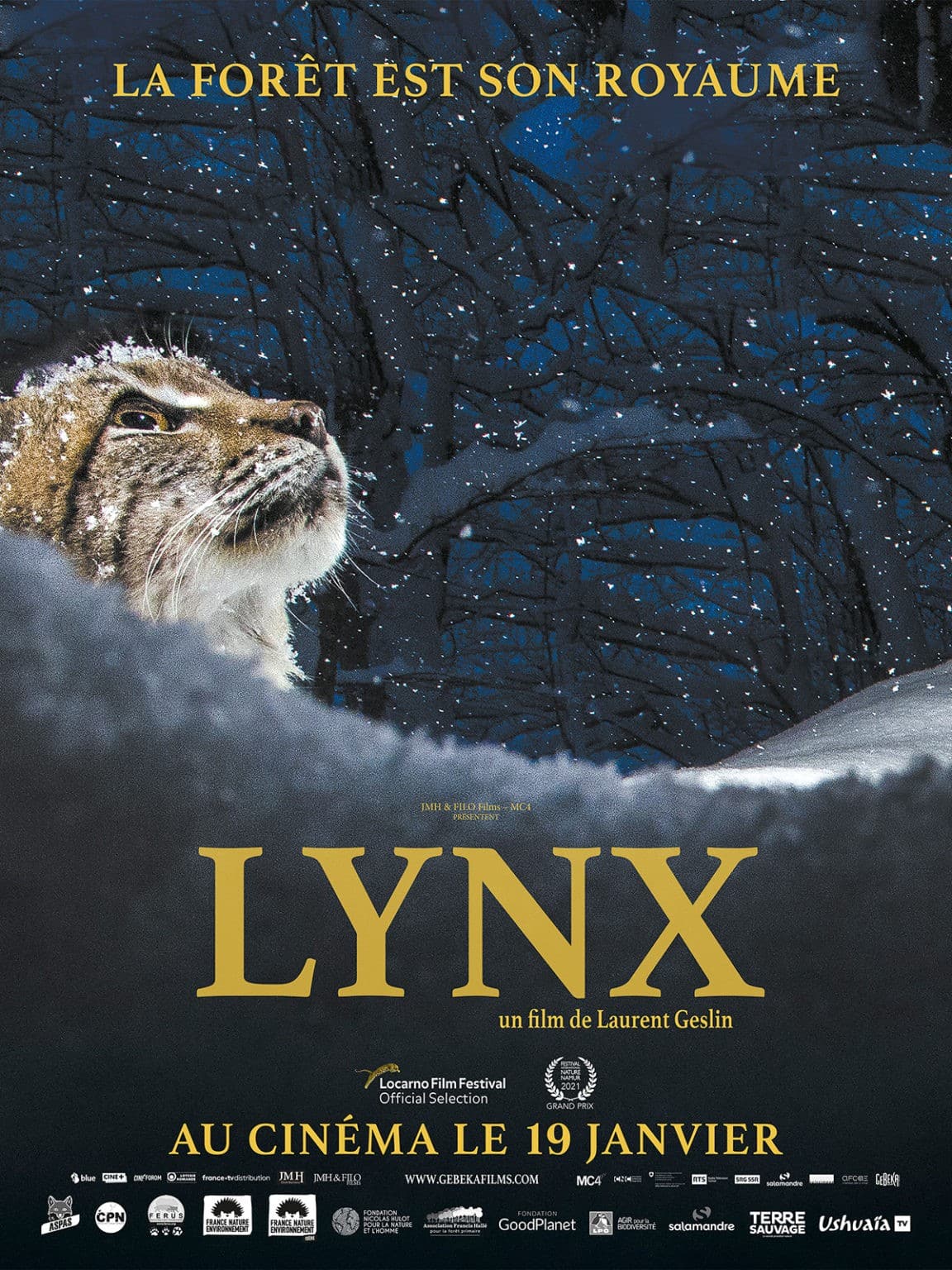 LYNX - Ciné Actuel